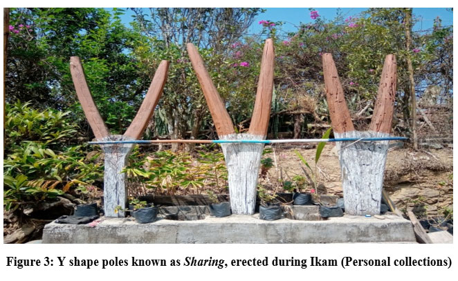 Figure 3: Y shape poles known as Sharing , erected during Ikam ...